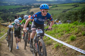 Tom CRAGG's gallery - Roots & Rain